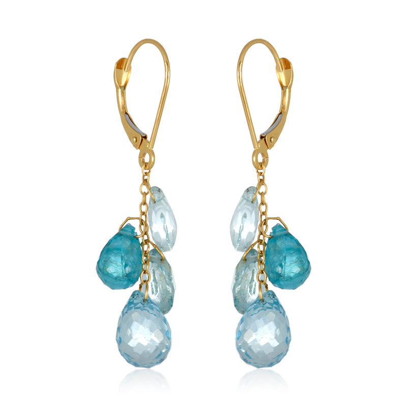 Love In Blue Medley Earrings in 14k – Mabel Chong